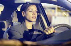 Motor Vehicle Guide
